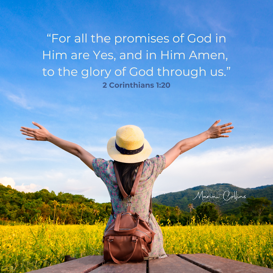 Embracing God’s Promises: How to Prepare to Receive Them ...